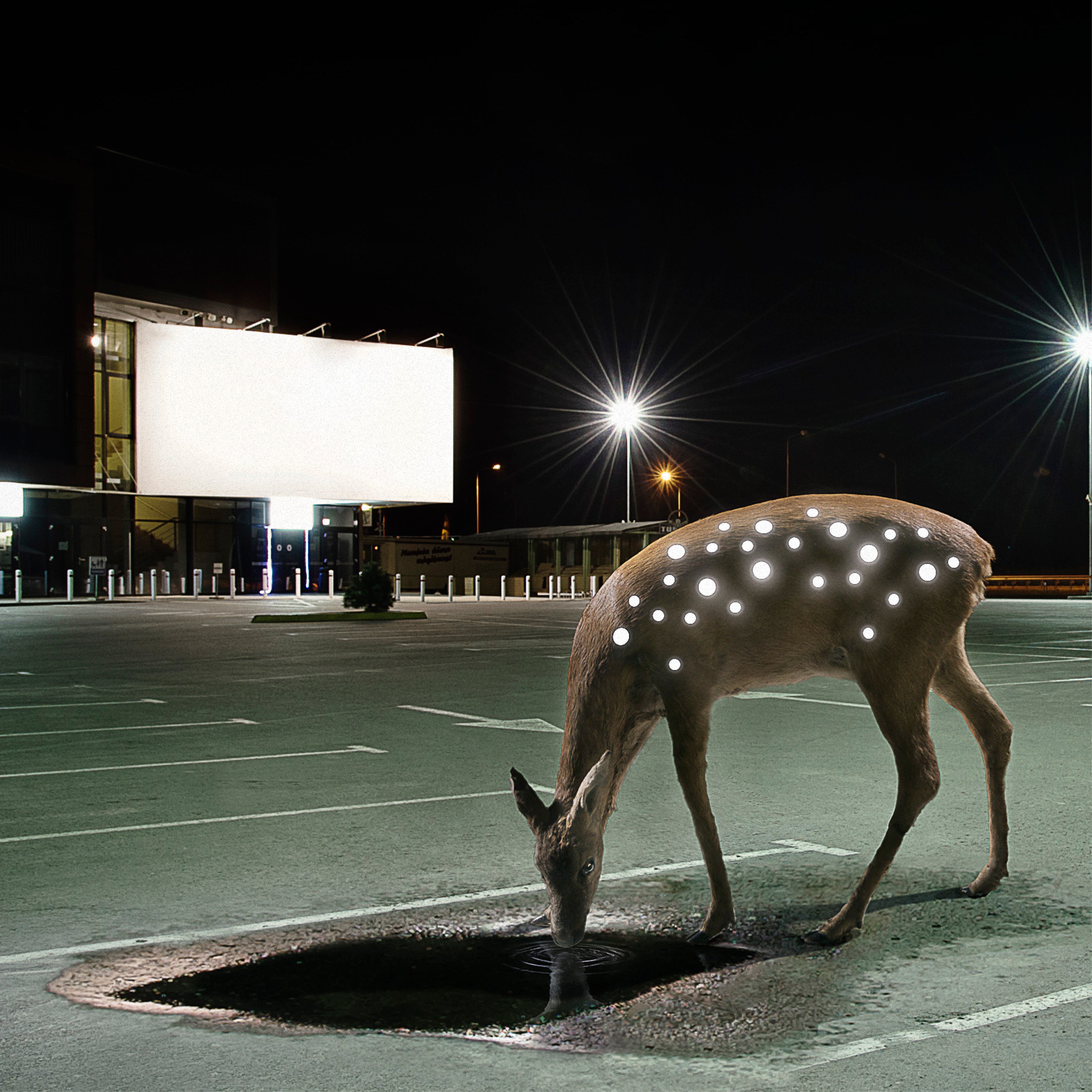 reflective badge x2 – march